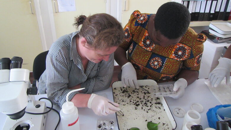 WISER: Water Infrastructure for Schistosomiasis-Endemic Regions | LCNTDR